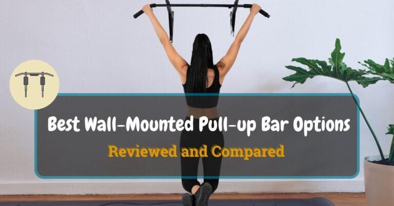 10 Best Wall-Mounted Pull-up Bar Options in 2025 | Functional Body Savage
