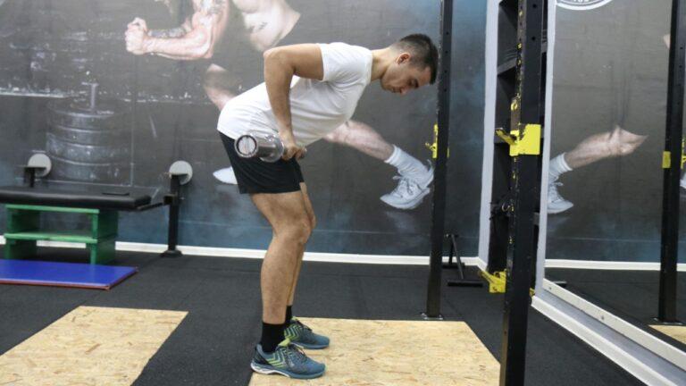 The Best Pull Day Workout Routine for Strength & Hypertrophy ...