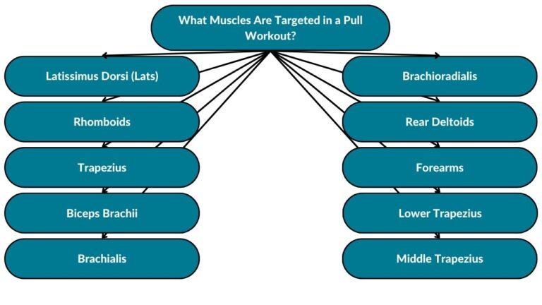 The Best Pull Day Workout Routine for Strength & Hypertrophy ...