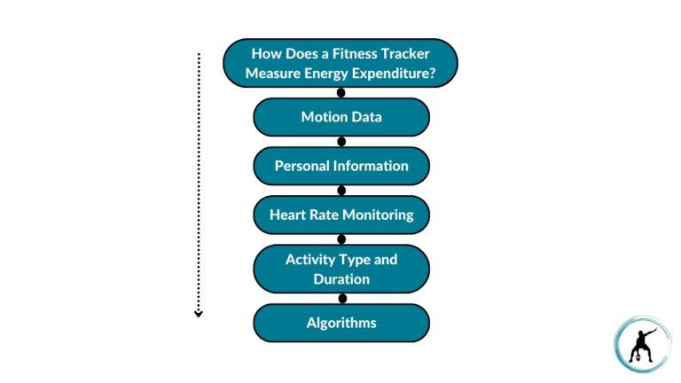 How Do Fitness Trackers Work? | Full Breakdown | Functional Body Savage